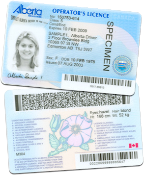 How Many Demerit Points?