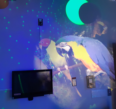 AdaptAbilities Supports Individuals with Special needs in Edmonton's ...