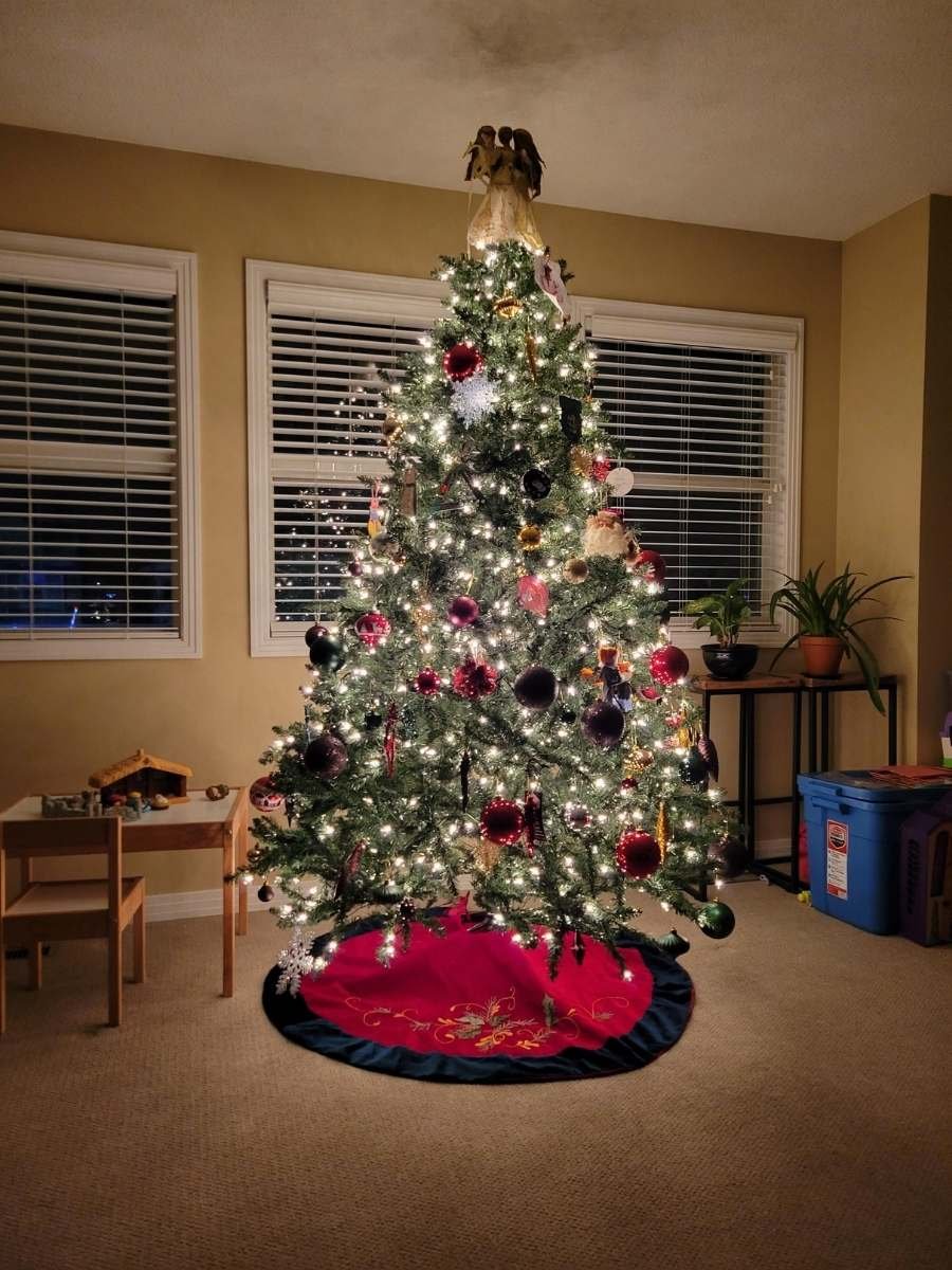 The Armour Team's Holiday Trees