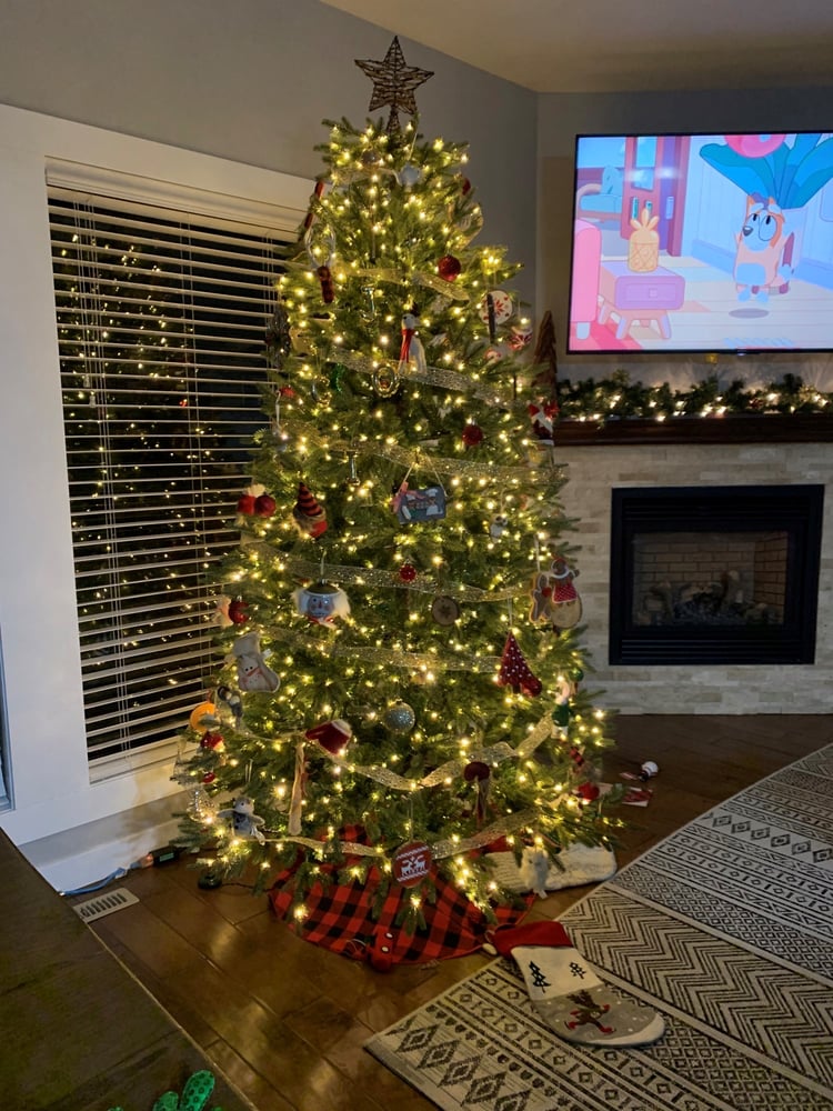 The Armour Team's Holiday Trees