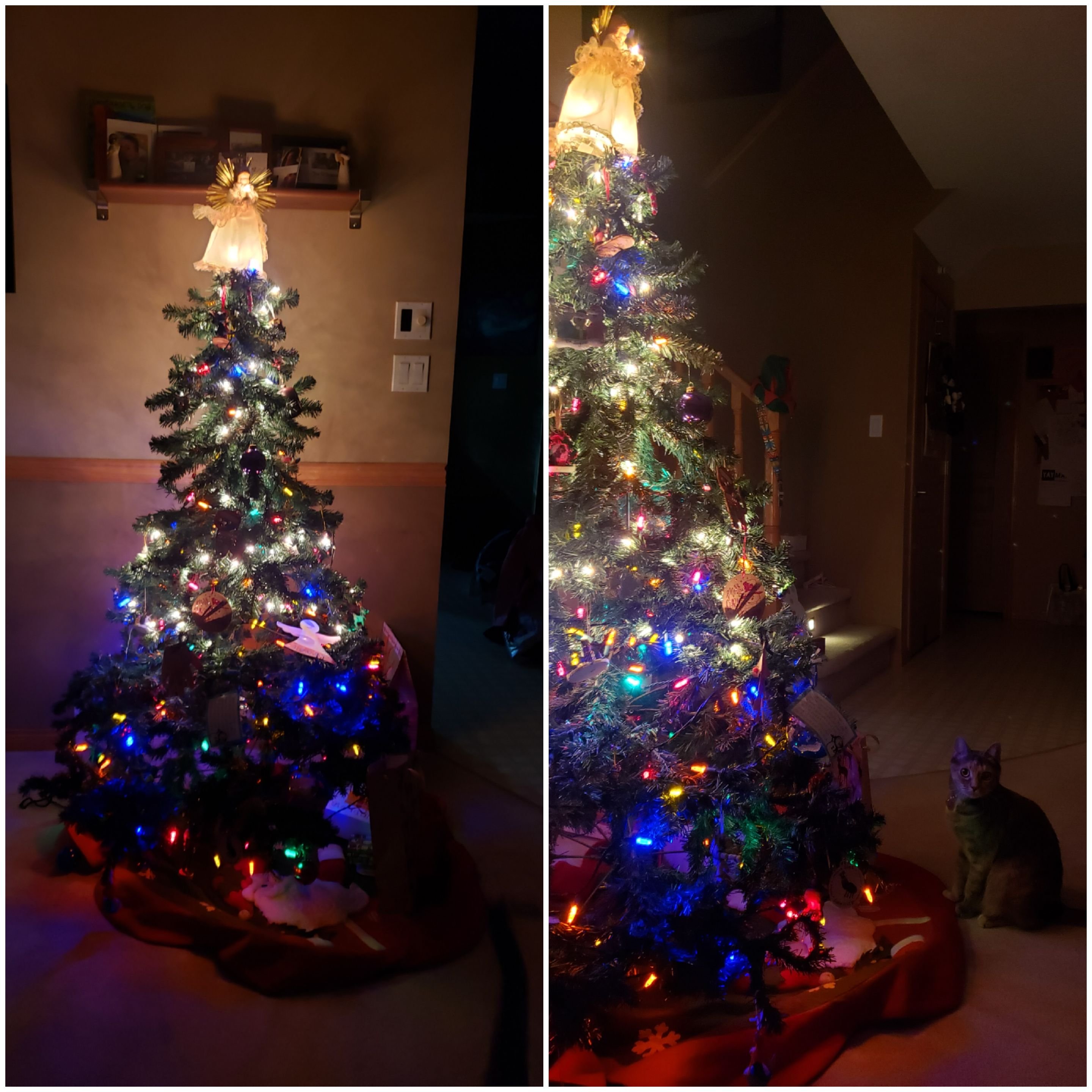 The Armour Team's Holiday Trees