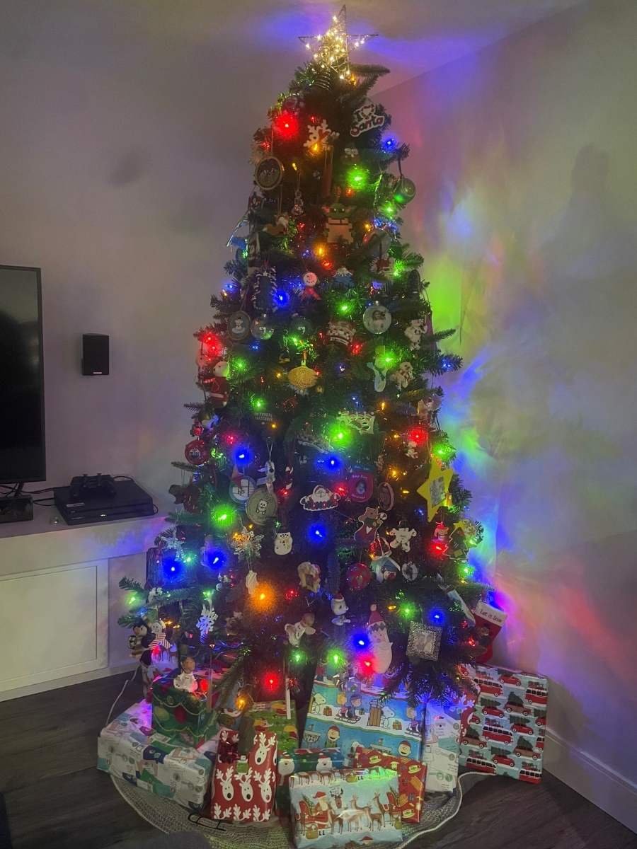 The Armour Team's Holiday Trees