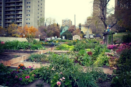Community Gardens Have Solid Roots in Alberta